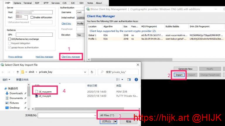 Bitvise连接Linux服务器教程 - VPS攻略