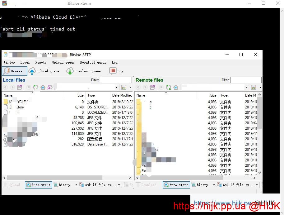 Bitvise连接Linux服务器教程 - VPS攻略
